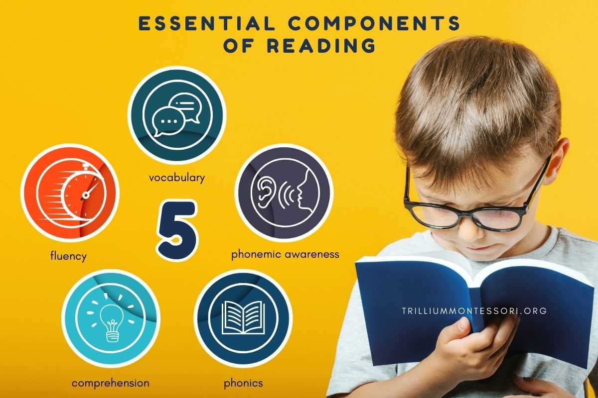 The 5 Components Of Reading The 5 Components Of Reading