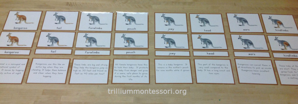 Learning About Australia