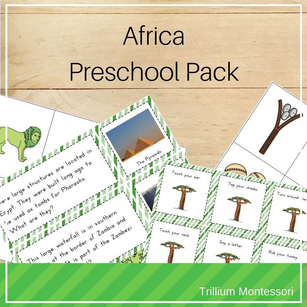 Africa Themed Fine Motor Trays