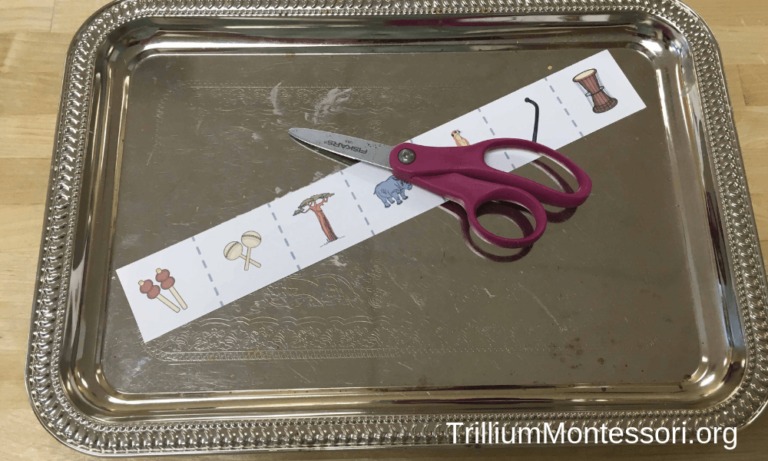 The Continent of Africa