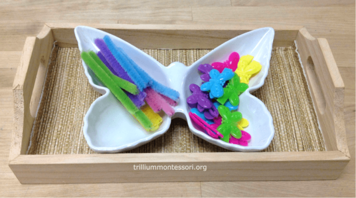 Bugs! Fine Motor and Art Activities on the Montessori Shelf