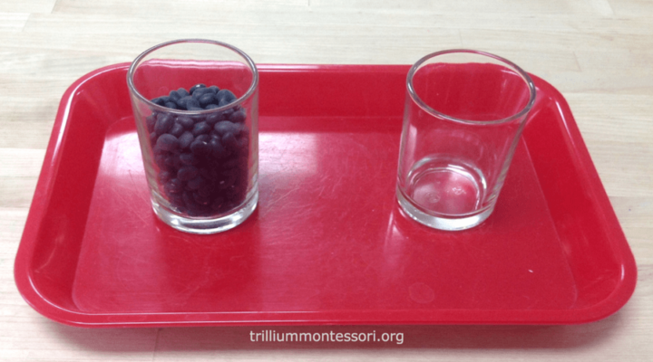 Bugs! Fine Motor and Art Activities on the Montessori Shelf