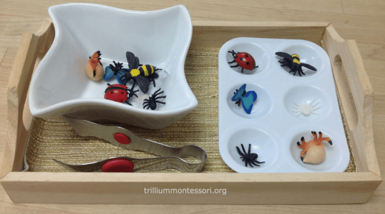 Bugs! Fine Motor and Art Activities on the Montessori Shelf