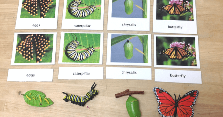 Seasonal: Spring - Trillium Montessori