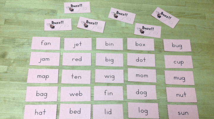 Learning About Bugs: Activities for Preschool and Montessori