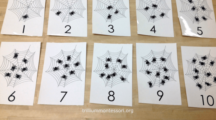Learning About Bugs: Activities for Preschool and Montessori
