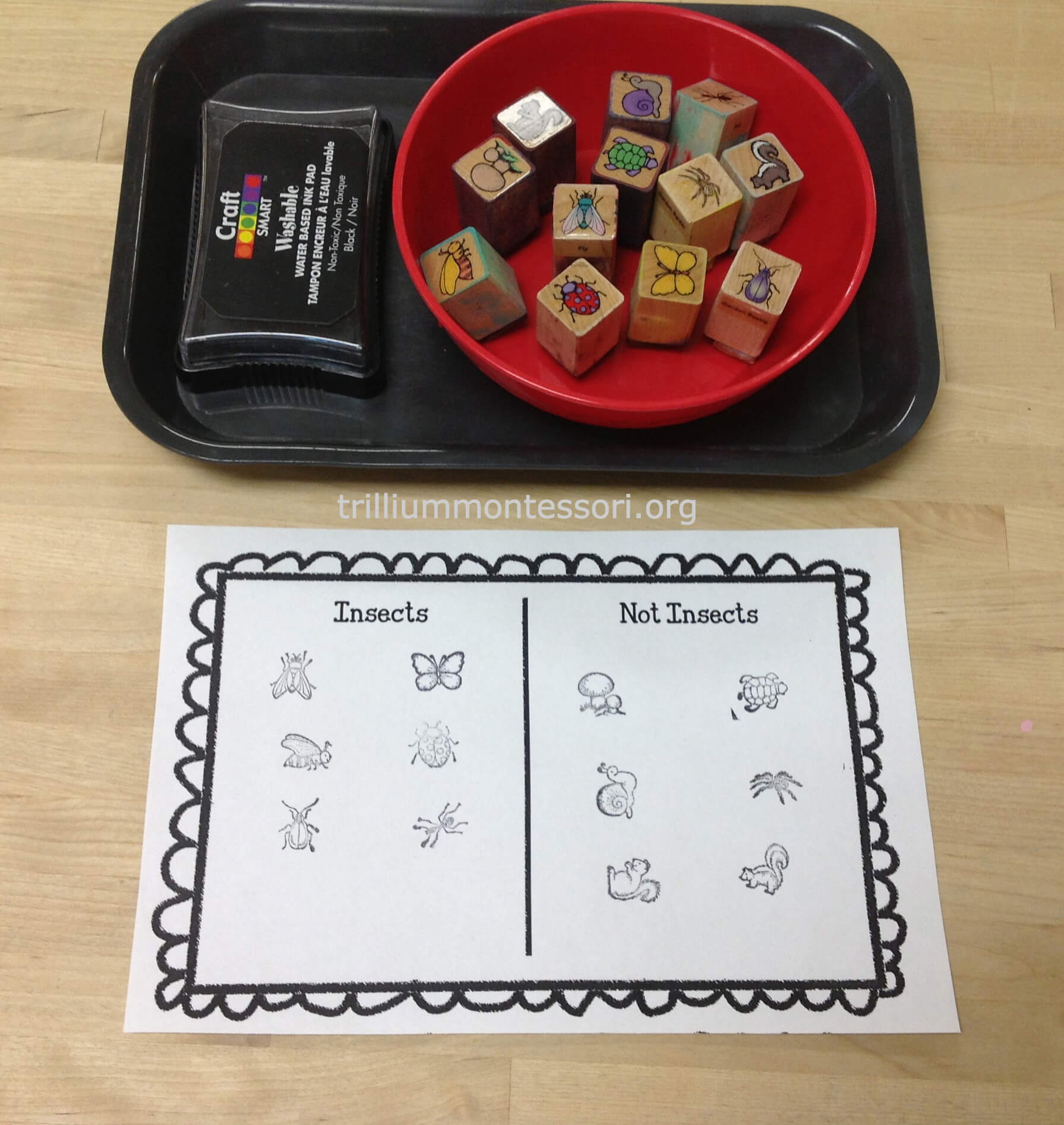 Learning About Bugs: Activities for Preschool and Montessori