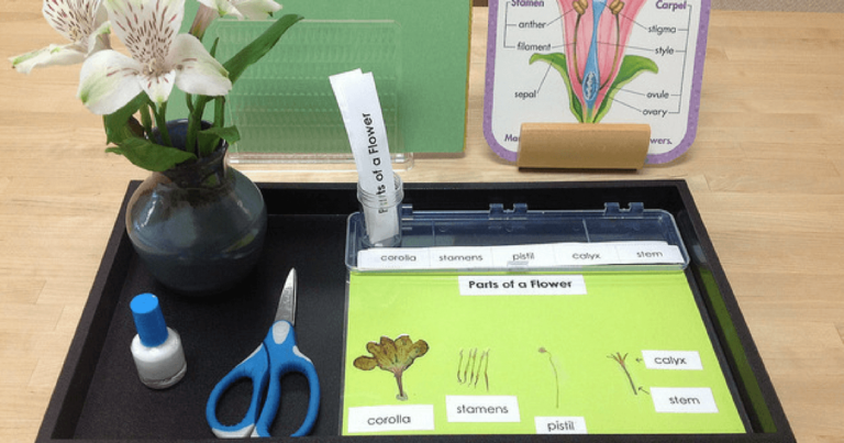 May Themes for Preschool