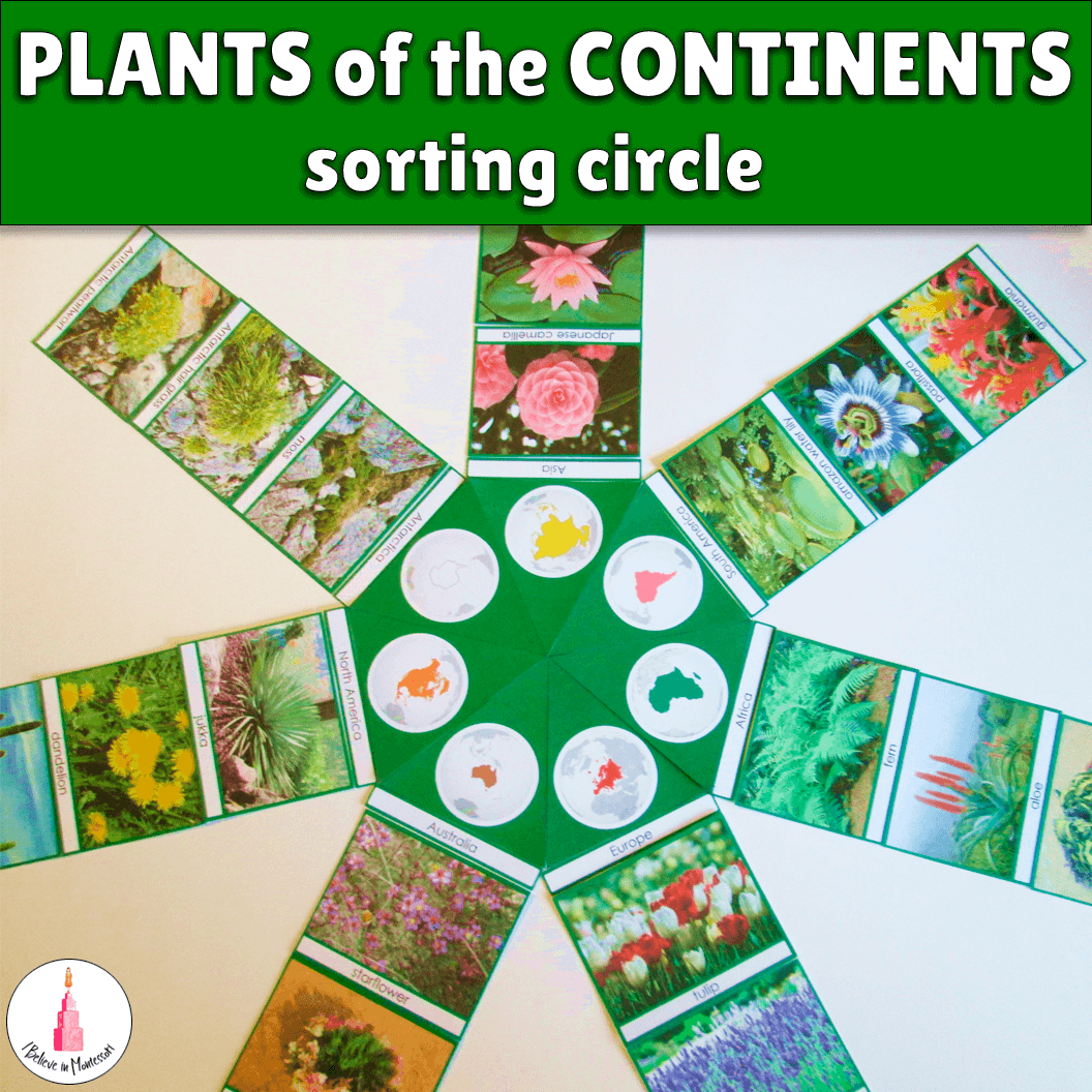Introduction to Montessori Geography