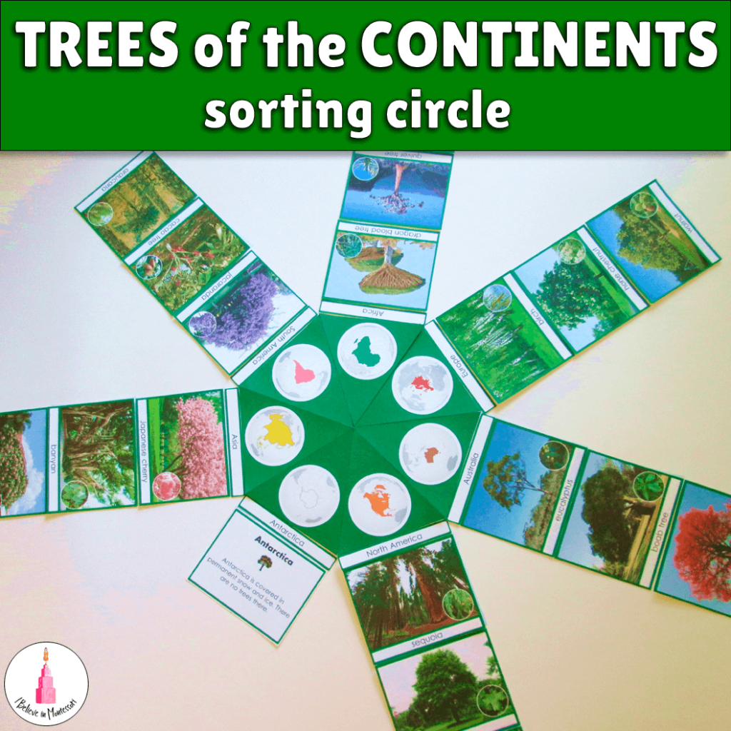 Introduction to Montessori Geography