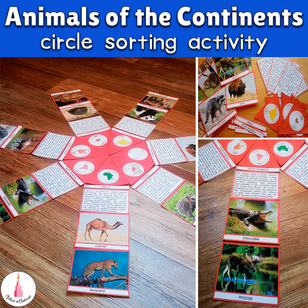 Introduction to Montessori Geography