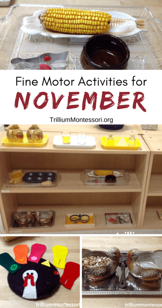 November Fine Motor Shelf