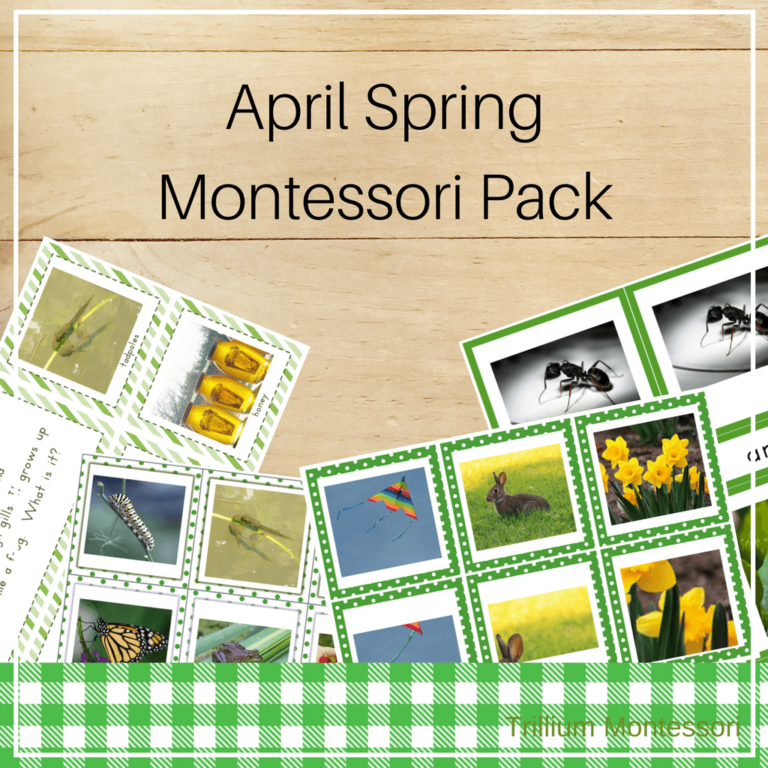 Montessori Elementary Language Curriculum