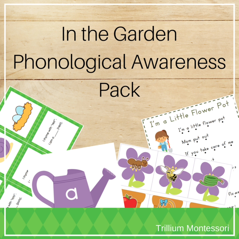Flower Activities for Montessori or a Preschool Unit