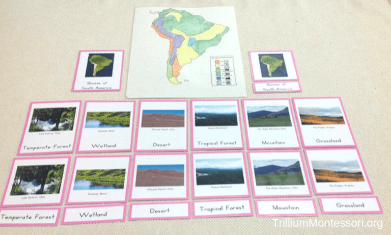 Learning About South America