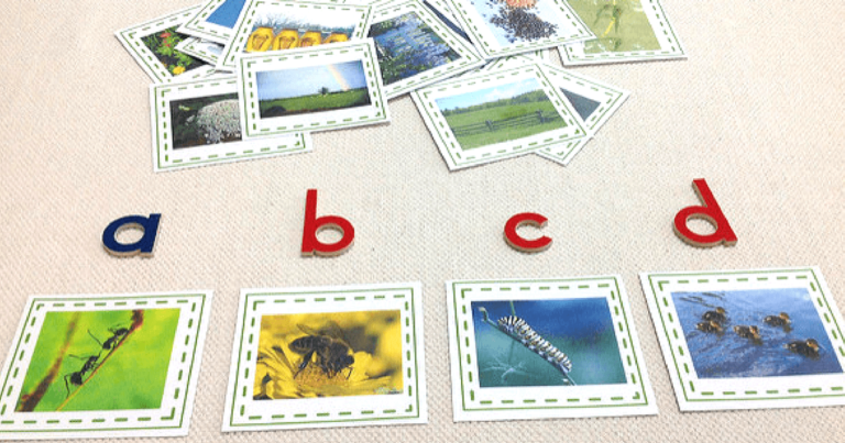 Seasonal: Spring - Trillium Montessori