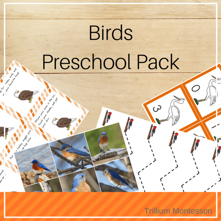 Montessori Resources for Learning About Birds