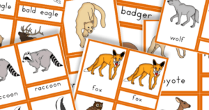 Free Printable: Animals of North America