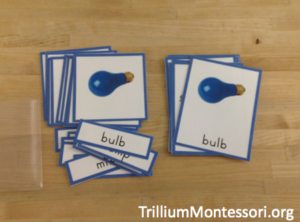 The Montessori Blue Series for Reading