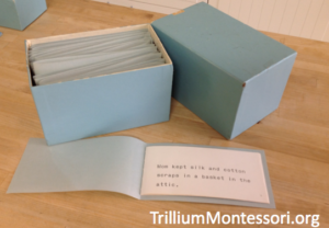 The Montessori Blue Series for Reading