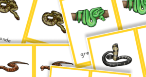 Themes: Reptiles - Trillium Montessori
