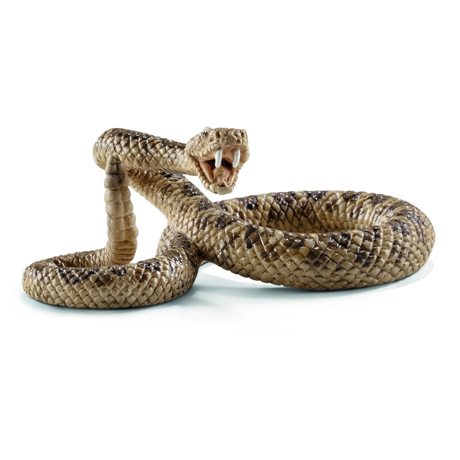 Free Printable: Snakes 3 Part Cards