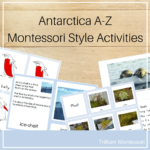 The Tundra Biome: Facts, Activities, Printables