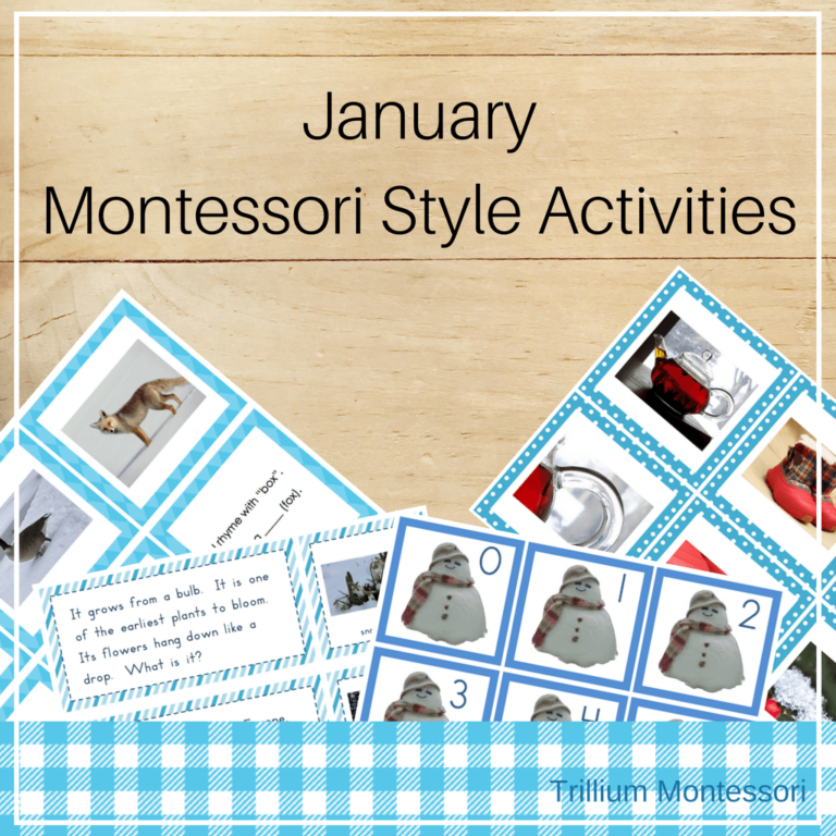 Fine Motor Activities For January