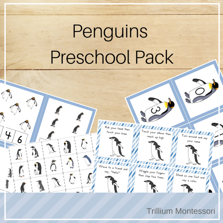 Free Printable: Arctic Animals