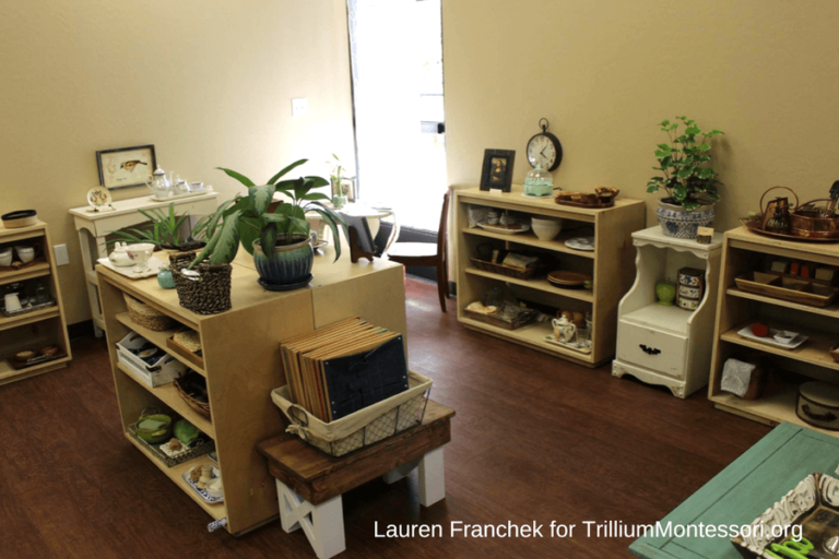 Lauren's Montessori Classroom: Practical Life