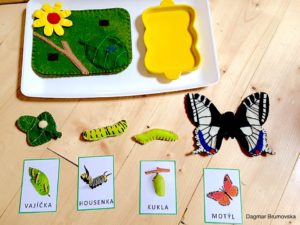 Spring Ideas for the Preschool Classroom