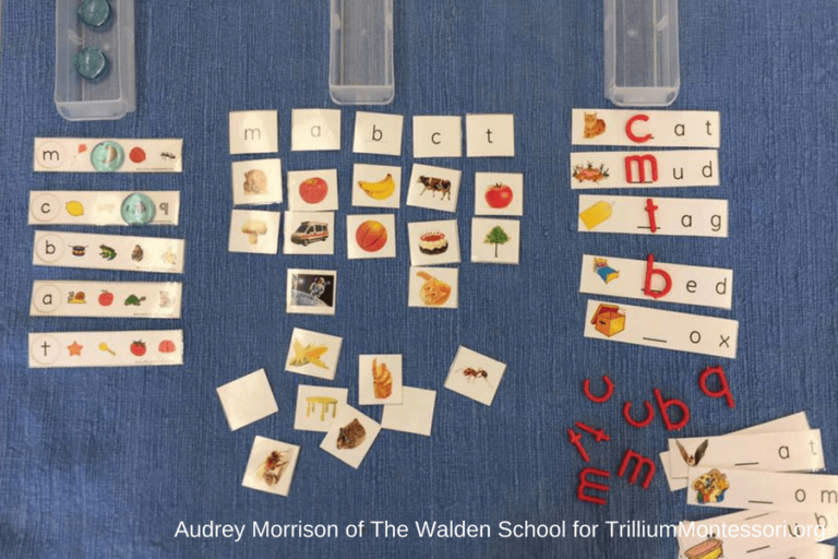 A Tour of Audrey's Montessori Classroom