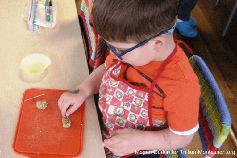 Honey Bees: Cooking in the Montessori Children's House