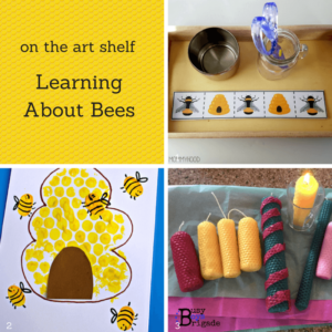 Learning About Bees