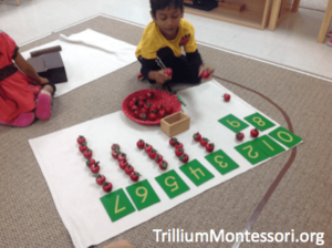 Farm Animals: Preschool Activities and Facts