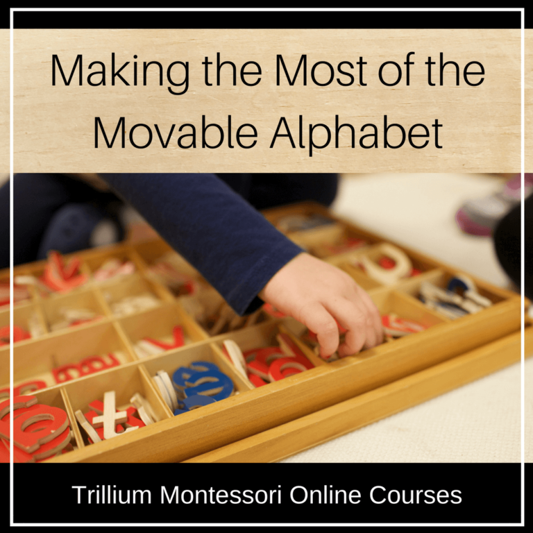 Free Montessori Printable Beginning Sound Sorting Cards - Trillium ...