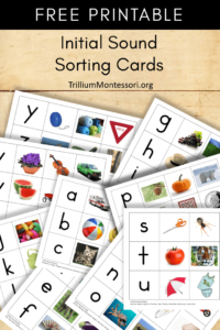 Free Montessori Printables