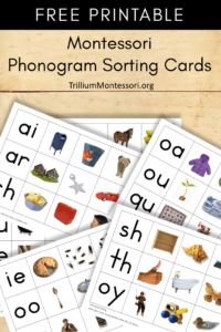 Free Montessori Printables