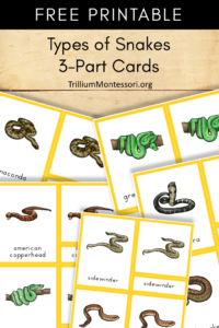 Free Montessori Printables
