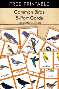 Free Montessori Printables