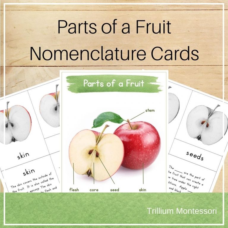 Trillium Montessori: Resources for Montessori Educators