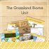 The Grassland Biome