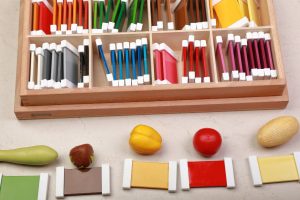 The Sensorial Area of the Montessori Classroom