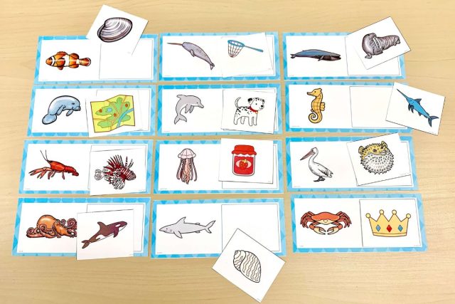 Phonological Awareness vs Phonemic Awareness