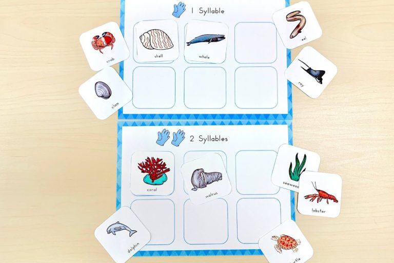 Phonological Awareness vs Phonemic Awareness