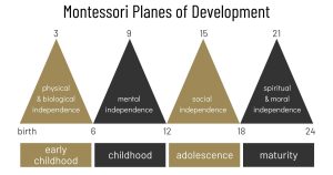 Montessori Planes of Development