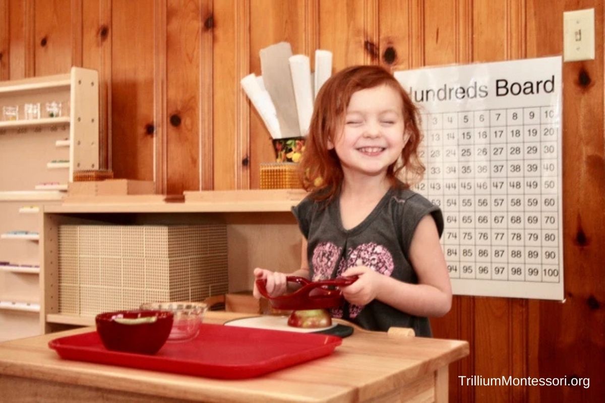 Montessori vs. Traditional Education: the Ultimate Guide
