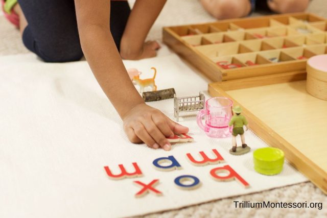 Montessori Language: An Overview of the Materials and Curriculum