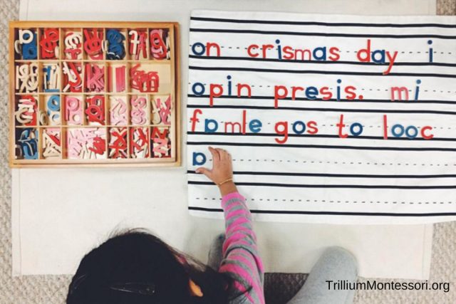 Montessori Language: An Overview of the Materials and Curriculum