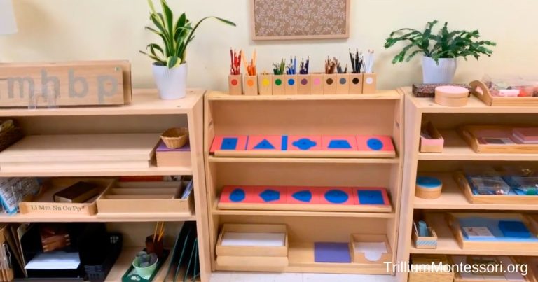 Montessori Curriculum for Early Childhood